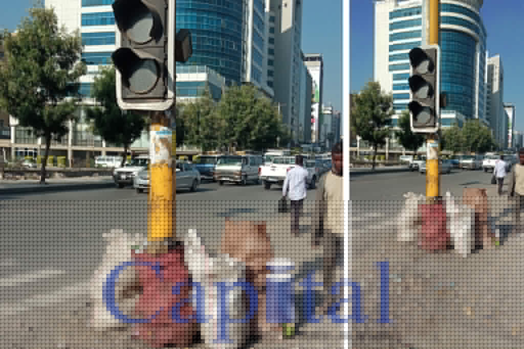 Garbage post - Capital Newspaper