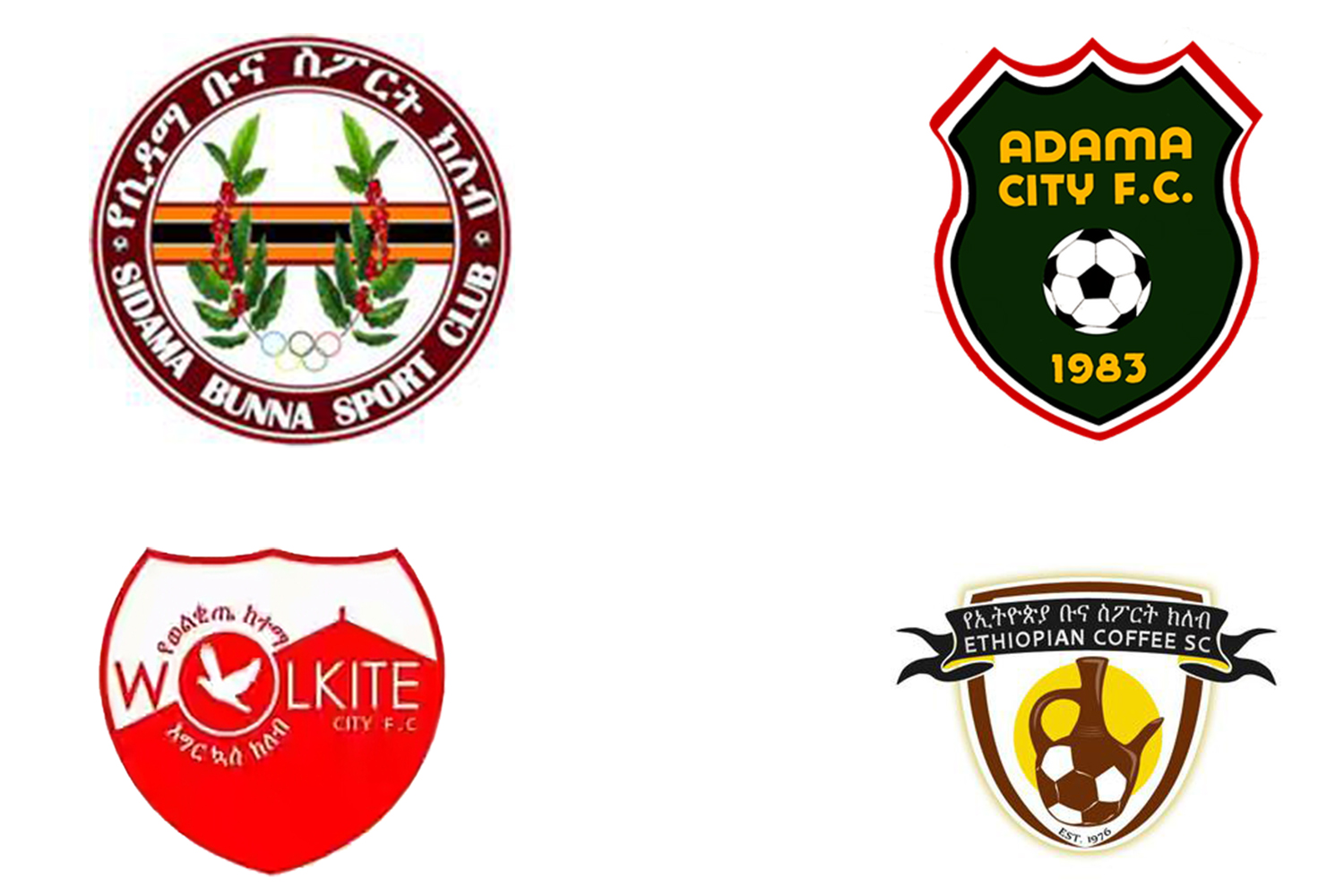Tricky mid-week fixtures brings Sidama VS Adama, Bunna VS Wolkite ...
