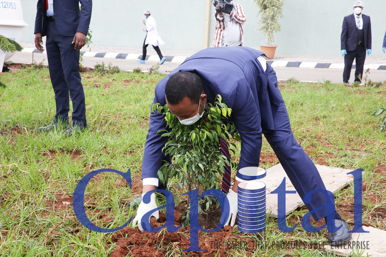 The Bread Factory - Capital Newspaper