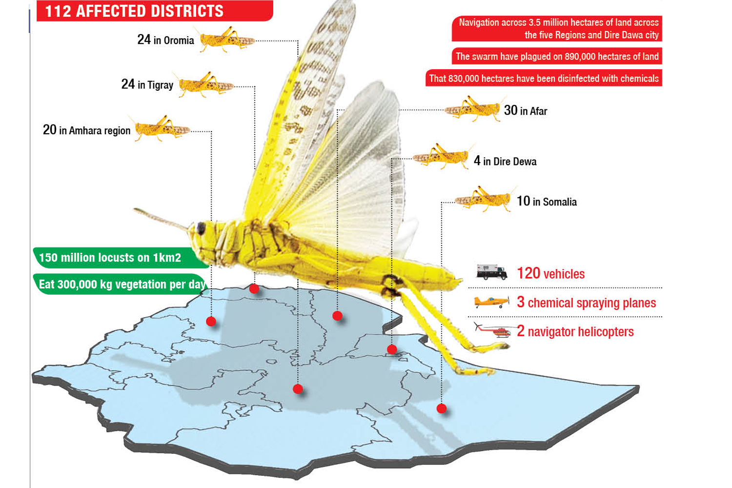 The locust menace - Capital Newspaper