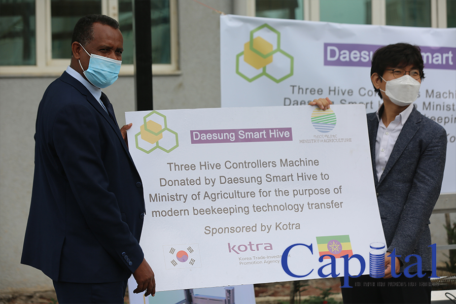 DAESUNG SMARTHIVE, KOTRA boost beekeeping through donation - Capital ...