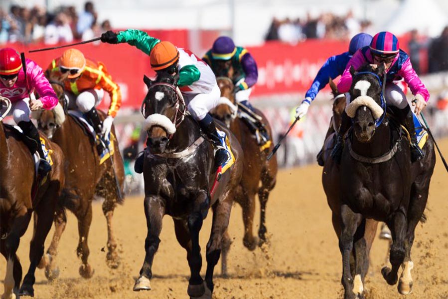 Most Popular Horse Racing Events In Africa - Capital Newspaper