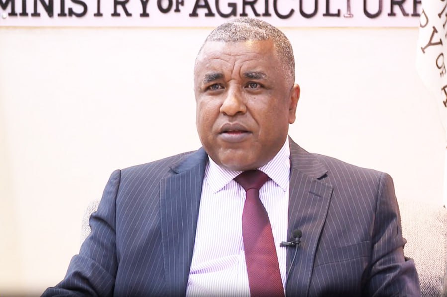 Experts doubtful about benefits of new land administration proclamation ...